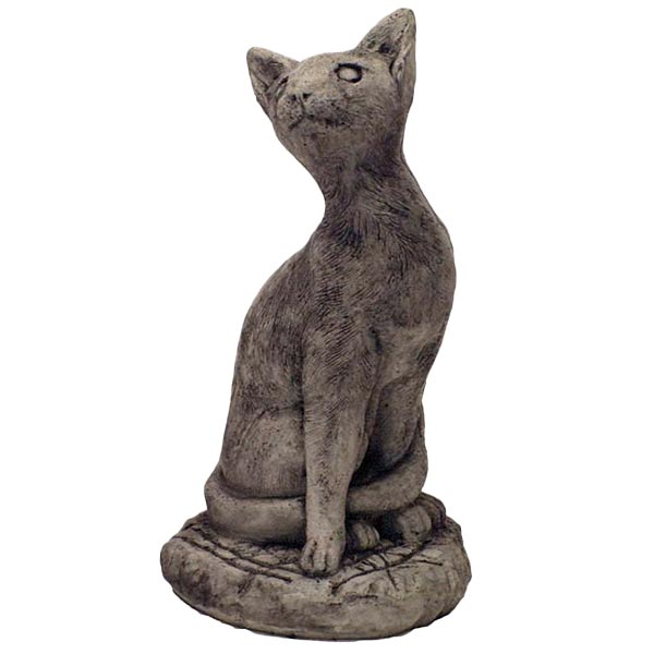 Cat Looking Up | Solid Rock Stone Works