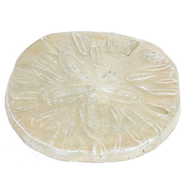 Sand Dollar Stone | Solid Rock Stone Works
