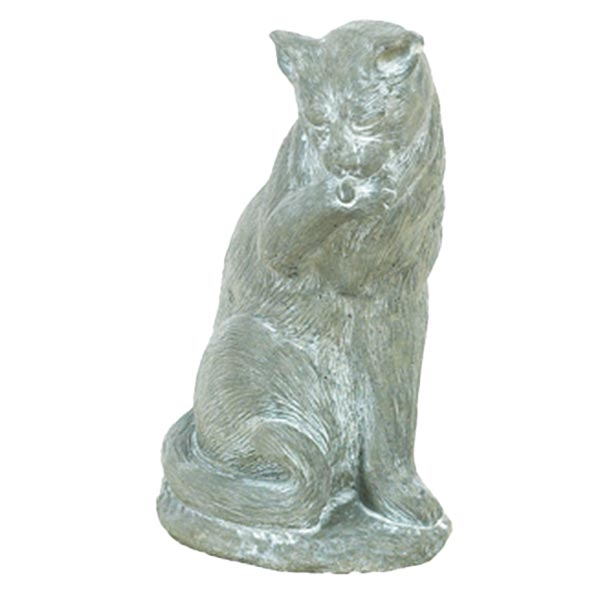 Small Cat Licking Paw | Solid Rock Stone Works