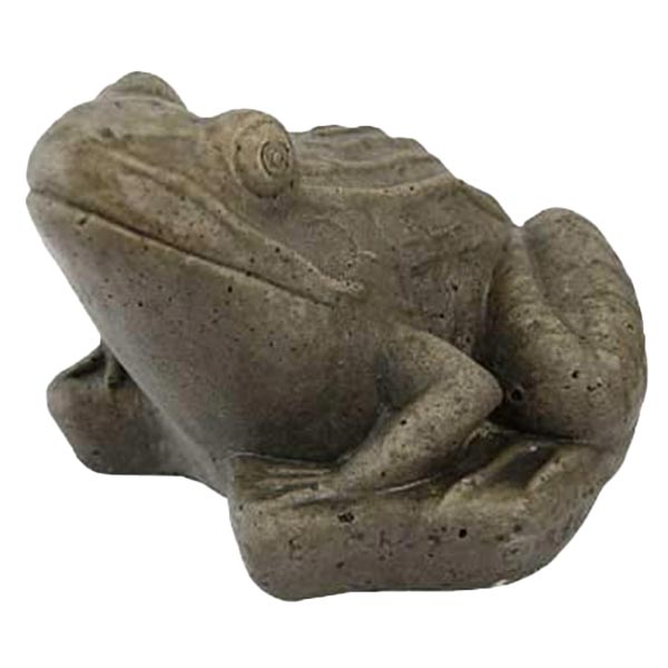 Leopard Frog | Solid Rock Stone Works