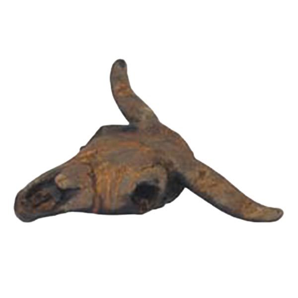 Cow Skull | Solid Rock Stone Works